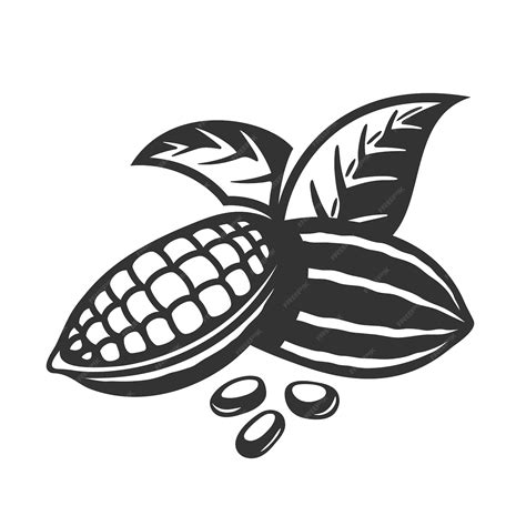 Premium Vector Cocoa Pod