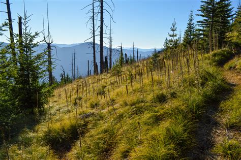Big Bunchgrass Ridge Hike Oregon