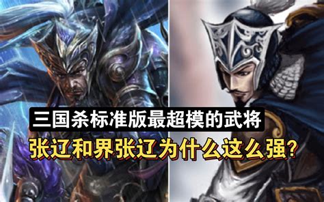 三国杀标准版最超模的武将，张辽为什么能够这么强？ 雨鸭嘎嘎乱杀 雨鸭嘎嘎乱杀 哔哩哔哩视频
