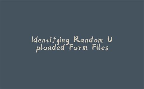 identifying random uploaded form files 拾光赋