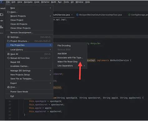 Intellij Idea文件只读解决方法 七匣子