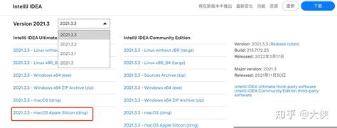 2022版Mac M2芯片安装Idea及破解大法 知乎
