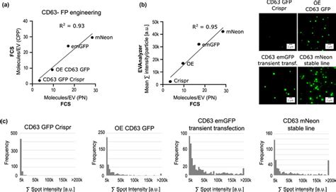 Evanalyzer High Content Imaging For Rigorous Characterisation Of