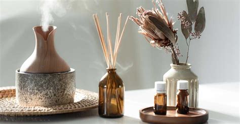 Reed Diffuser Terbaik Untuk Rumah Wangi Di 2025