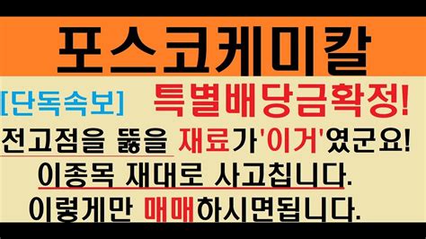 포스코케미칼 포스코케미칼주가전망포스코케미칼주가포스코케미칼분석포스코케미칼차트분석포스코케미칼실적포스코케미칼종목분석