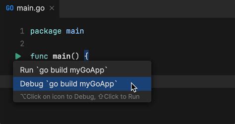 Getting Started With Go Jetbrains Fleet Documentation