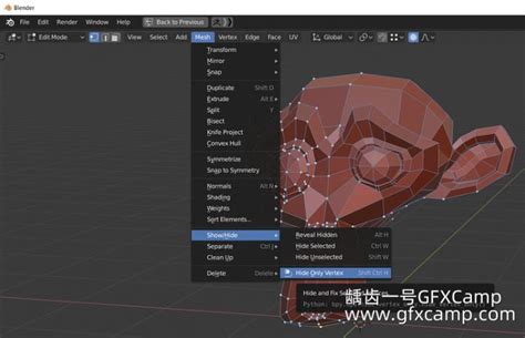 Blender顶点隐藏插件 Hide Only Vertex V1041 龋齿一号gfxcamp