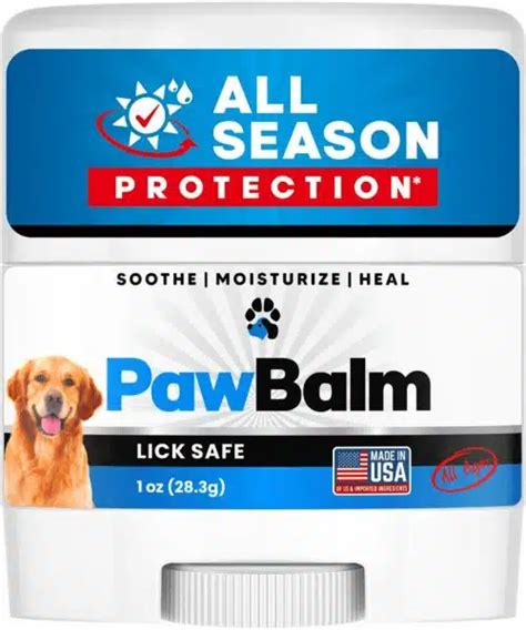 Best Paw Balm For Dogs Top 12 Picks For Soothing And Protecting Your