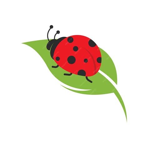 Premium Vector Ladybug Vector Ladybug On White Background Wallpaper