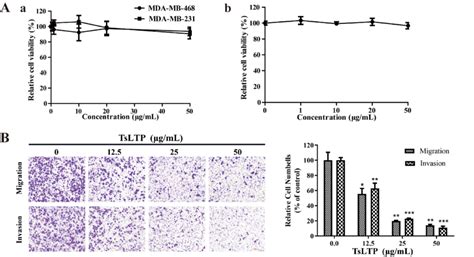 Effects Of Tsltp On The Cell Viability Migration And Invasion A