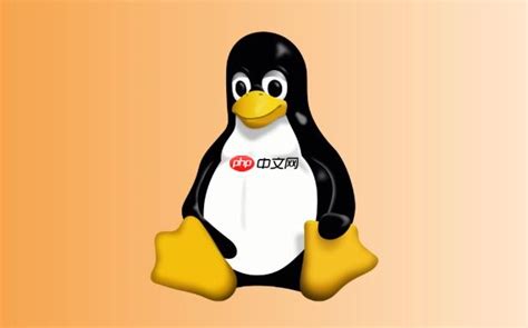 如何修改linux网卡mtu值 Ifconfig和ip命令调整方法 Linux运维 Php中文网