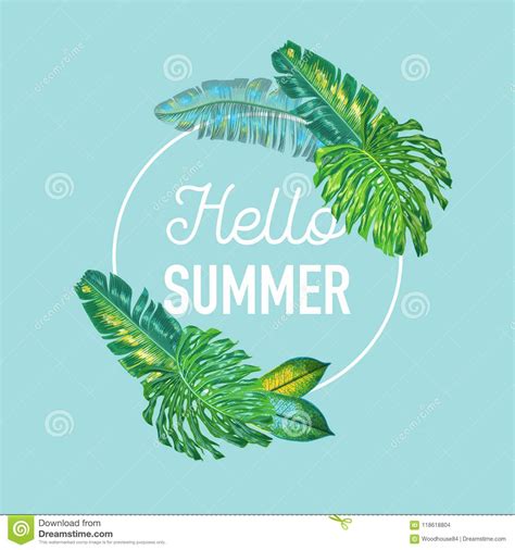 Hello De Zomer Tropisch Ontwerp Met Palmbladen De Affichebanner Van De