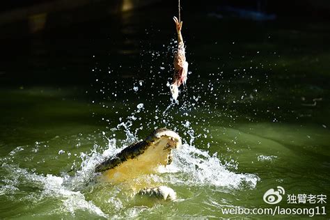 大堡礁避霾游只为邂逅你的蓝 新浪旅游 新浪网