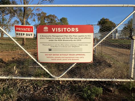 Another Pandemic Coming Our Way African Swine Fever Outbreak Grain