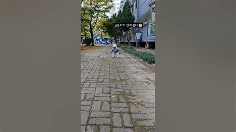 엄마 안아주는 아기곰👶🏻 16개월아기 호랑이띠아기 17개월아기 아기일상 아기동영상 아기개인기 아기여워 Youtube