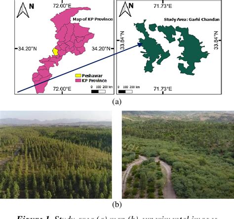 Figure 1 From Temporalanalysis And Future Prediction Of Billion Tree Tsunami Forests A Case