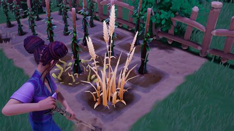 Palia Best Crop To Make Money In The Game