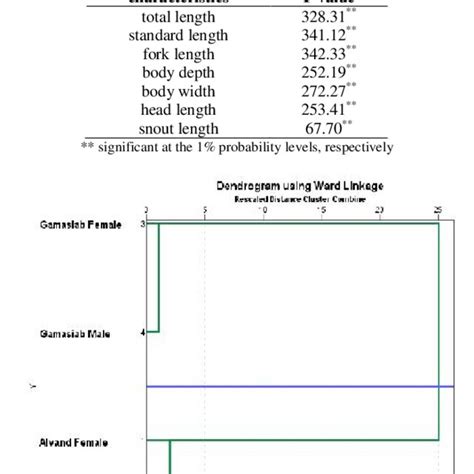Dendrogram Of Clustering Morphometric Characteristics Of Capoetatrutta