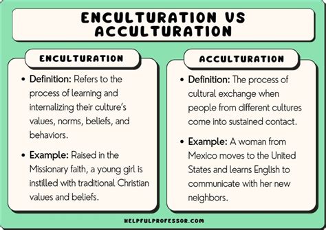 Acculturation Process