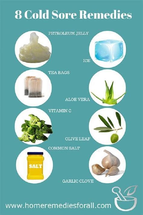Simple Home Remedies For Cold Sores — Health And Wellness —