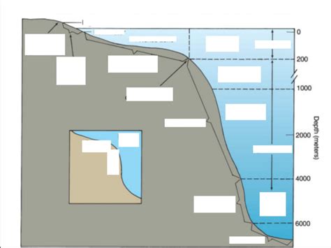 Ocean Zones Diagram Quizlet