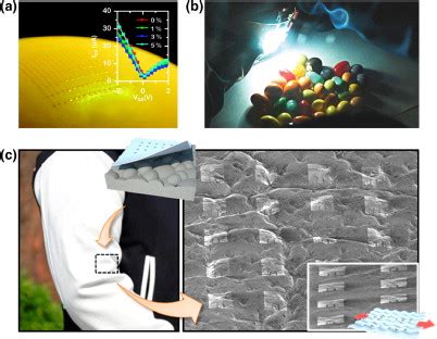 A Stretchable Graphene Based Transistor On The Surface Of A Rubber Download Scientific