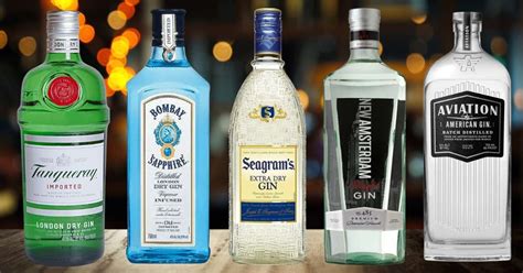 Top 10 Best Gin Brands Sold In The United States