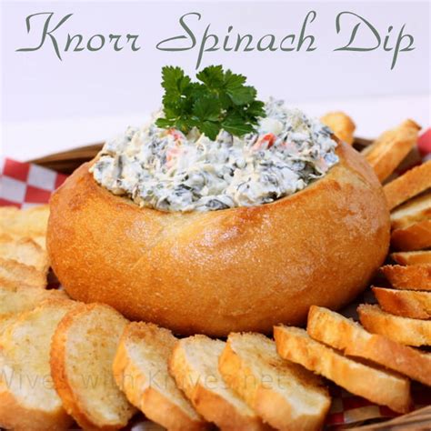 Knorr Dry Vegetable Soup Mix Recipe Besto Blog