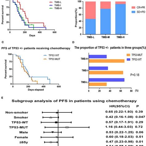 Tumor Mutation Burden And Survival Outcome In Patients Receiving Download Scientific Diagram