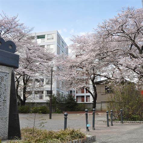 映画のまち調布 調布市