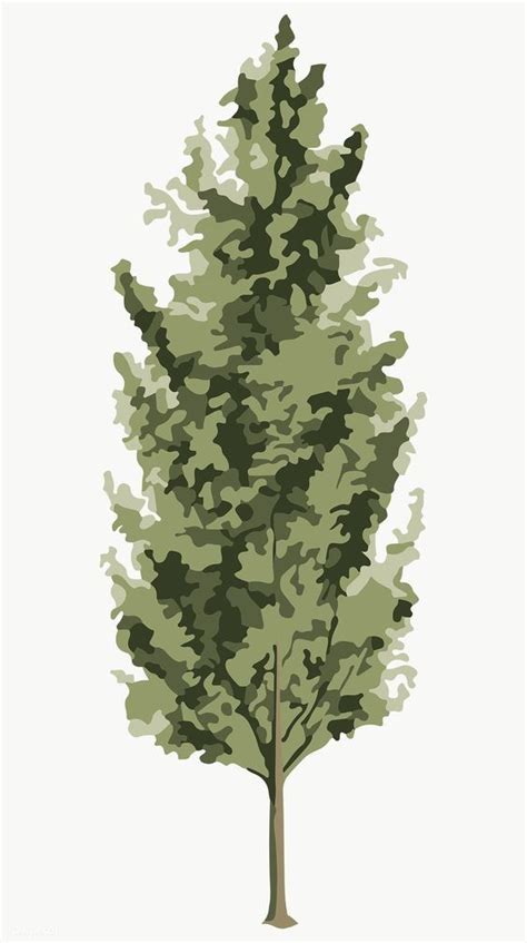 Photoshop Render Trees Plan View Vectorsop
