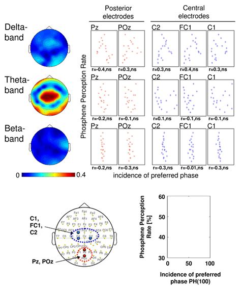 Figure S1 Sound Induced Phase Locking In Nonalpha Frequency Bands And Download Scientific