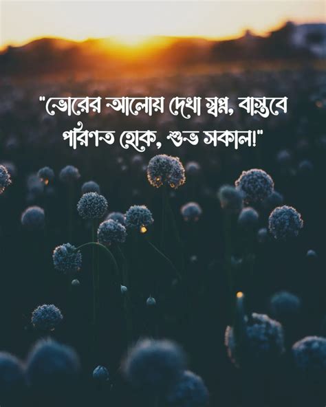 শভ সকল মসজ সটযটস কযপশন শভচছ ও ছব ২০২৪