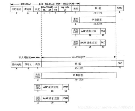网络数据包的解析以及数据大小端的处理 数据包解析 csdn博客