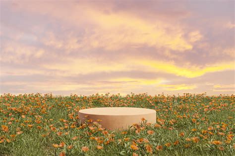 Abstact 3d Render Pemandangan Musim Semi Dan Latar Belakang Podium