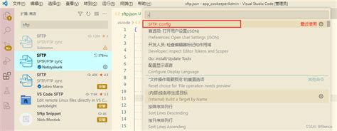 【vscode Sftp】使用vscode通过跳板机建立ssh隧道建立sftp连接vscode跳板机 Csdn博客