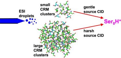揭示电喷雾电离过程中丝氨酸八聚体幻数簇形成的途径：实验和模拟 Journal Of The American Chemical Society X Mol