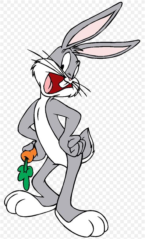 Bugs Bunny Speedy Gonzales Tweety Sylvester Daffy Duck Png 789x1348px