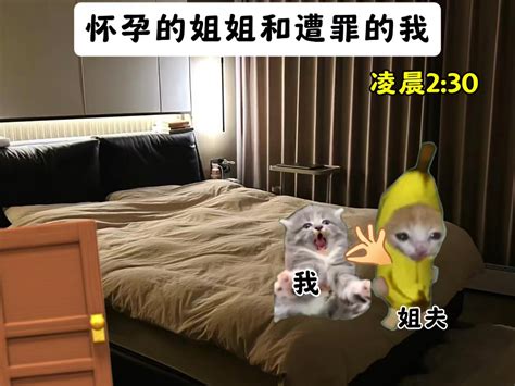 怀孕的姐姐和遭罪的我 Me猫日记 Me猫日记 哔哩哔哩视频