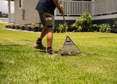 Should You Rake Grass Clippings Or Leave Them Myhometurf