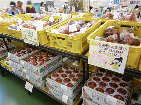 紫波特産リンゴブドウ 只今格安にて大放出中 産直ごーごー岩手県 産直産地直売所情報満載
