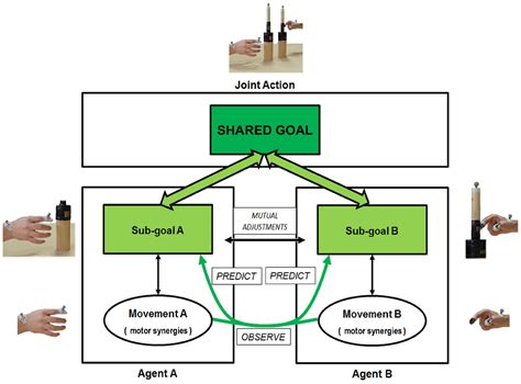 Frontiers Social Cues To Joint Actions The Role Of Shared Goals