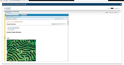 Required Psychology Ebook Has Fixed Width Even Though The Site Itself