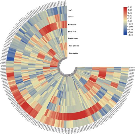 Heatmaps Of The Differentially Expressed Twmyb Genes In Various Organs