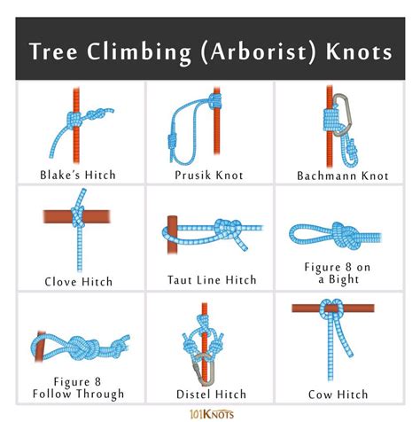 Rock And Tree Climbing Knots Essential Guide With List
