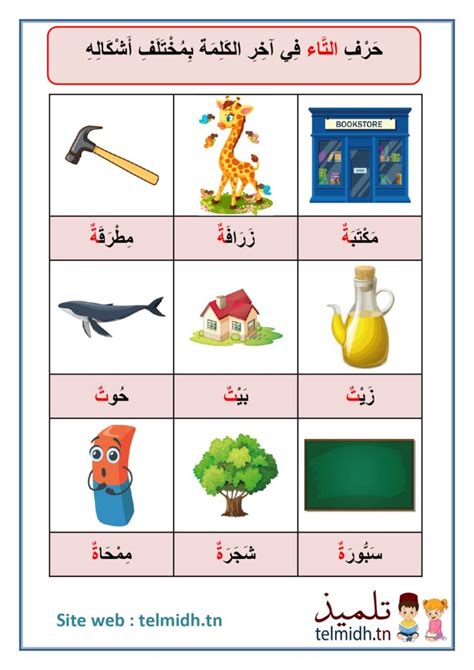 حرف التاء Telmidh
