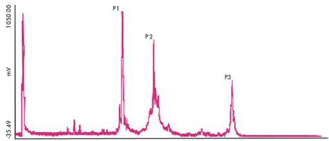 Reverse Phase Hplc Profile Of St Ii Cnbr Derived Peptides