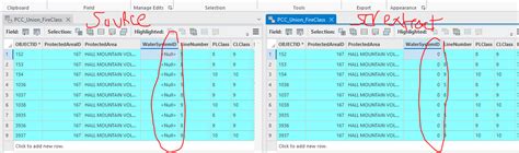 Publish Web Layer Is Converting Null Values To 0 O Esri Community