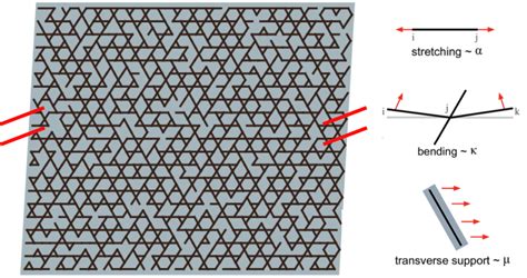 rigidity percolation model shown is a schematic of a portion of the