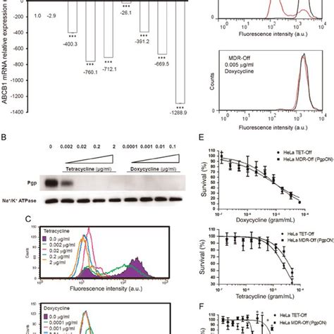 Comparison Of The Effects Of Tetracycline And Doxycycline On Download Scientific Diagram